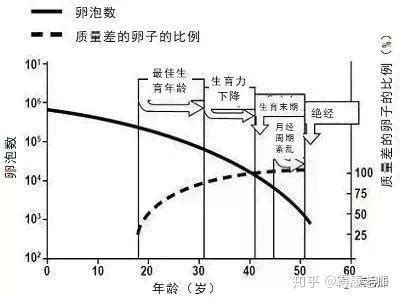 年龄对与生育能力具有怎样的影响？ 知乎