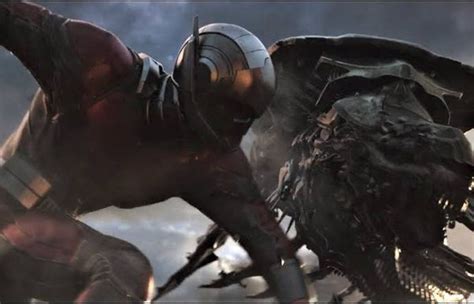 Homelander Vs Ant Man Mcu Battles Comic Vine