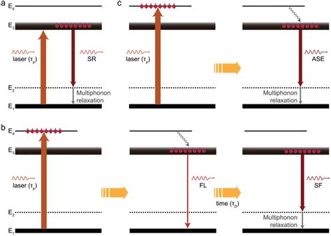 Quasi‐four‐level Diagrams Depicting Three Optical Transitions A Download Scientific Diagram