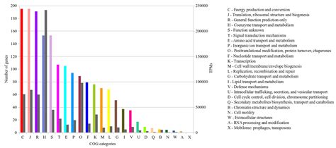 Genome Analyses And Genome Centered Metatranscriptomics Of Methanothermobacter Wolfeii Strain