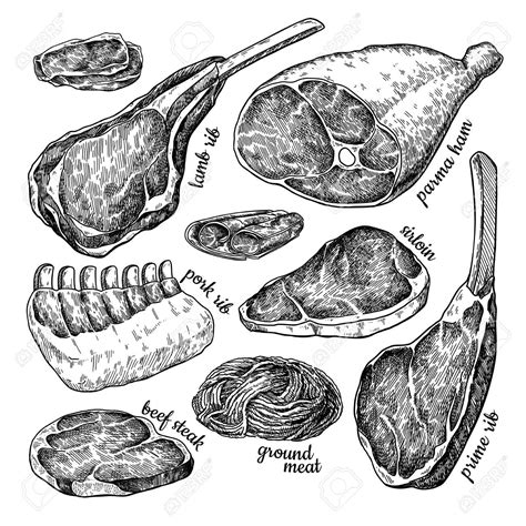 Raw Meat Set Vector Drawing Hand Drawn Beef Steak Pork Ham Lamb Rib