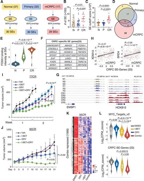 Lsd1 Inhibition Disrupts Super Enhancer Driven Oncogenic Transcriptional Programs In Castration