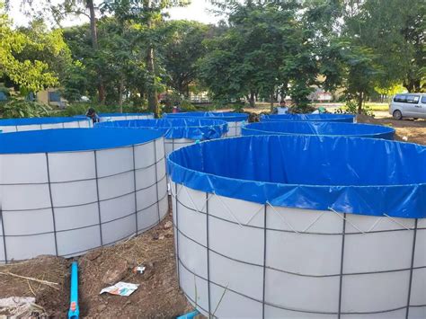 ត្រី ៤ ប្រភេទ ទីផ្សារកូរ៉េនិងម៉ាឡេស៊ី ហ៊ាន ឲ្យ តម្លៃ ខ្ពស់ បើ កសិករ ខ្មែរ អាច ចិញ្ចឹម មាន