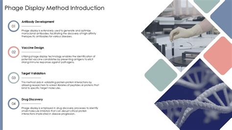 Phage Display Method Introduction Phage Display Method Ppt Template St