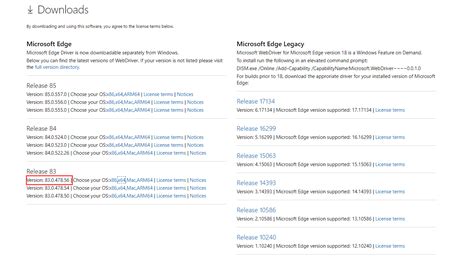 Selenium java Edge浏览器启动 久曲健 博客园