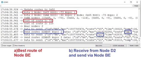 Route Table And The Data Through Node BE A Route To Proxy Node 65 Download Scientific