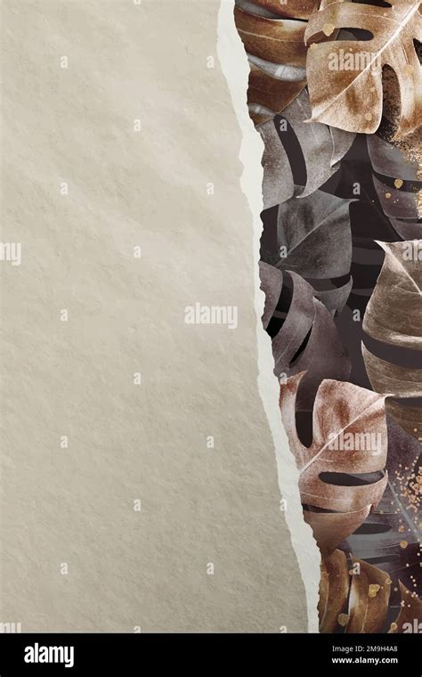 Monstera Split Leaf Stock Vector Images Alamy