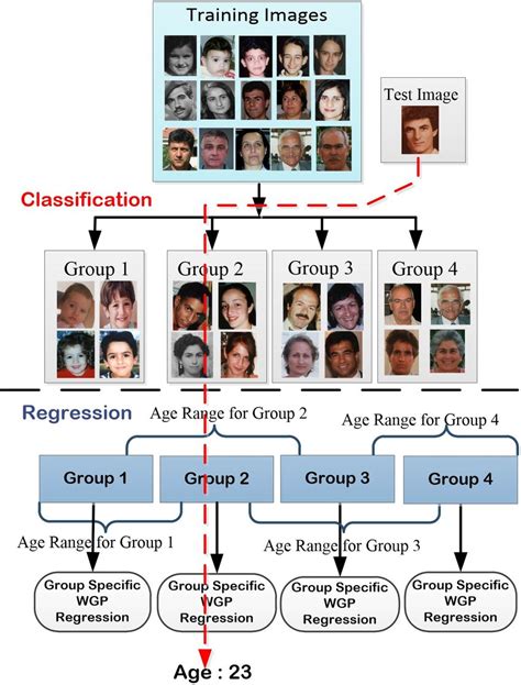 Hierarchical Age Estimator Classification Is Followed By Within Group Download Scientific
