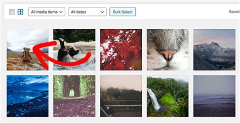 How To Resize And Edit Images In Wordpress The Right Way