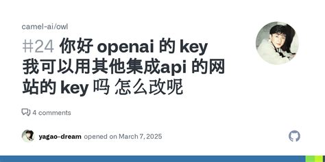 你好 openai 的 key 我可以用其他集成api 的网站的 key 吗 怎么改呢 Issue 24 camel ai owl