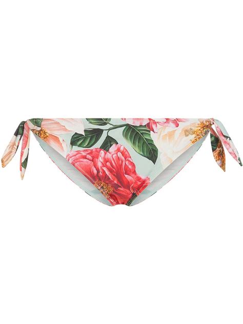Buy Dolce And Gabbana Camellia Floral Print Bikini Briefs Pink At 40