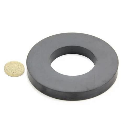 Neodymium 100 O.D. x 50 I.D. mm Speaker Magnet, Thickness: 30 mm at ...