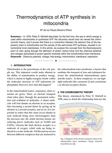 Thermodynamics Of Atp Synthesis In Mitochondria Thermodynamics Of Atp Synthesis In Mitocondria