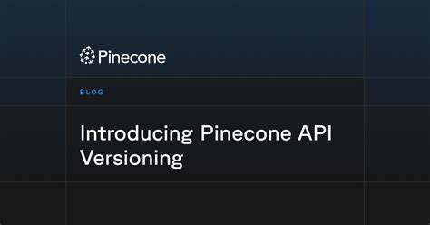 Introducing Pinecone Api Versioning Pinecone