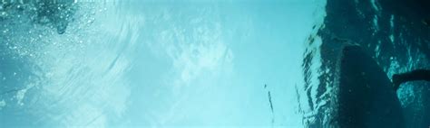 Whale Shark Encounter Sumilon Sandbar And Canyoneering In Kawasan