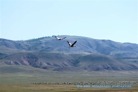 Булган аймаг Баян Агт сумын нутаг Булган аймаг Баян Агт су… Flickr