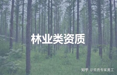 广东造林绿化施工单位资质怎么办理 知乎
