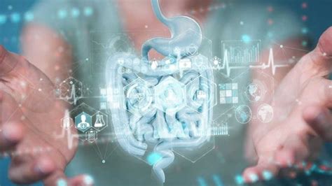 Fungsi Enzim Maltase Memecah Maltosa Jadi Glukosa