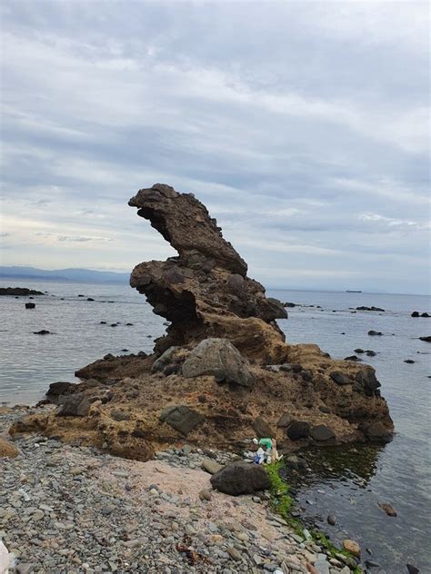 독수리바위 자연풍경 캐시피드