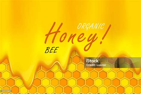 벌집 종이 컷 스타일 꿀벌 양봉 및 꿀 제품을위한 템플릿 디자인 방울에 대한 스톡 벡터 아트 및 기타 이미지 방울 벡터 육각형 Istock