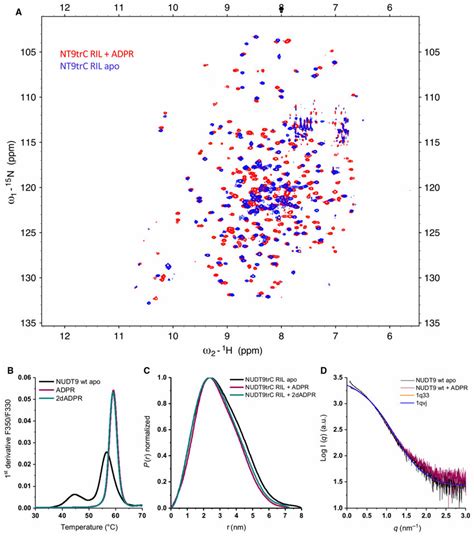Substrate Binding Leads To Closure Of Two Domains And A More Compact