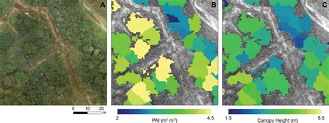 using sfm mvs and multispectral data parrot sequoia to characterise
