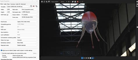 Vp21 187 Decoding Bug