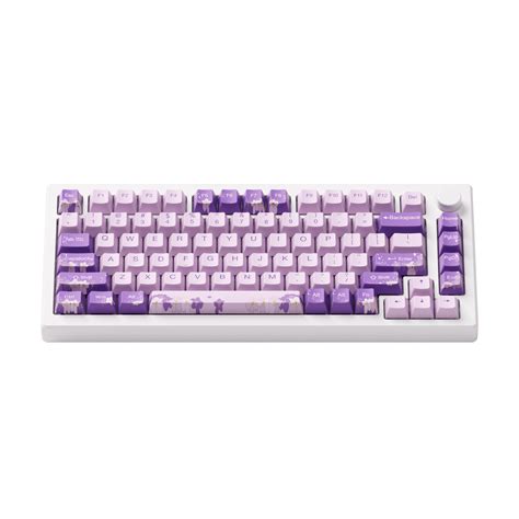 Mod 007 He Pc Purple Melody Magnetic Keyboard