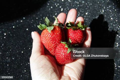 단단한 빛을 가진 여자의 손에 딸기 세 개 검은 색 배경에 손에 과일 가득 찬에 대한 스톡 사진 및 기타 이미지 가득 찬 건강한 생활방식 건강한 식생활 Istock