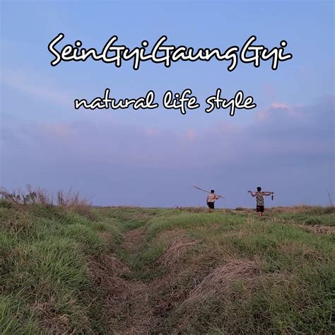 ဘယ်လောက်စားစား မရိုးတဲ့ ဝက်သားတုတ်ထိုး အိမ်ကို လုပ်မကျွေးတာ ၁ နှစ်ကျော်ကြာပြီဖြစ်တဲ့ ဝက်သားတုတ