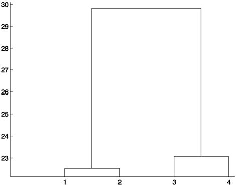 Dendrogram For Clustering With Euclidean Distances Download