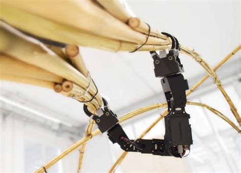 Co Designing Material Robot Construction Behaviors Teaching