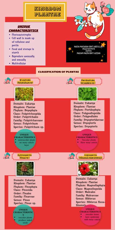 Biodiversity Infographic