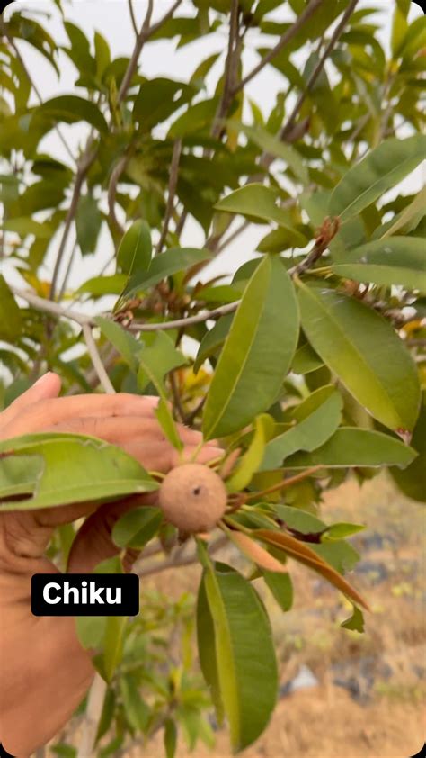 Gaurav Yadav जब मंजिल पर पहुंचने का जुनून आपको सोने ना दे तो रास्ते का लंबा सफर भी आपको