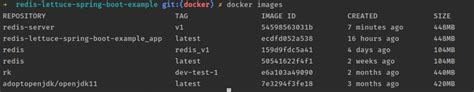 Dockerizing A Spring Boot And Redis Application Spring Boot Redis