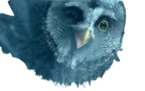 Twilight By Dracoawesomeness On Deviantart