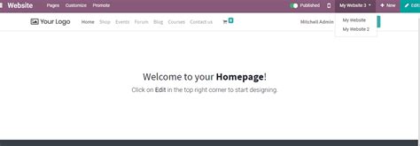 How To Use Multi Websites In Odoo