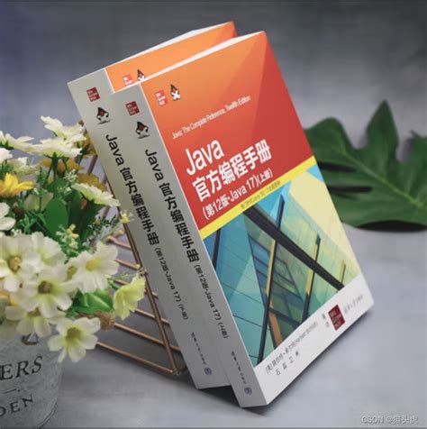 猫头虎博主第5️⃣期赠书活动《java官方编程手册（第12版·java 17）套装上下册》java官方编程手册17第12版pdf Csdn博客