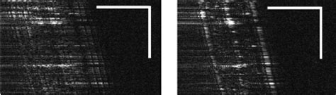 B Scan OCT Images Obtained Using A Linear Excitation Left And The Download Scientific Diagram