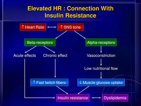 Ppt Beta Blocker For Reducing Cardiovascular Disease Powerpoint