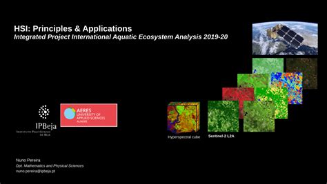 Pdf Hsi Principles And Applications Integrated Project International