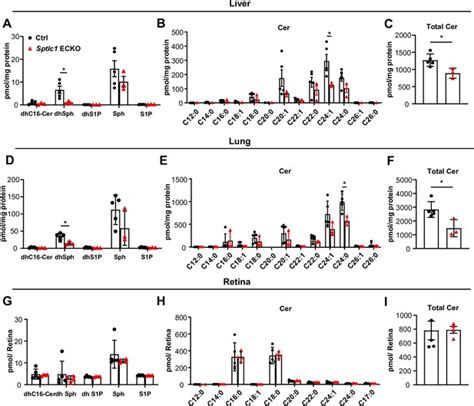 Murine Endothelial Serine Palmitoyltransferase SPTLC Is Required For Vascular Development