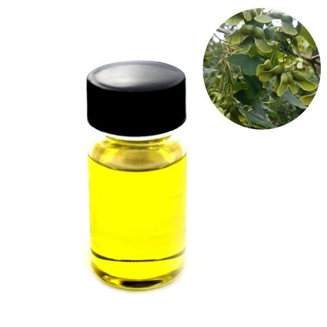 Supply Natural Pyrethrum Extract Pyrethrins Oil 25 50 Pyrethrin Extract For Sale