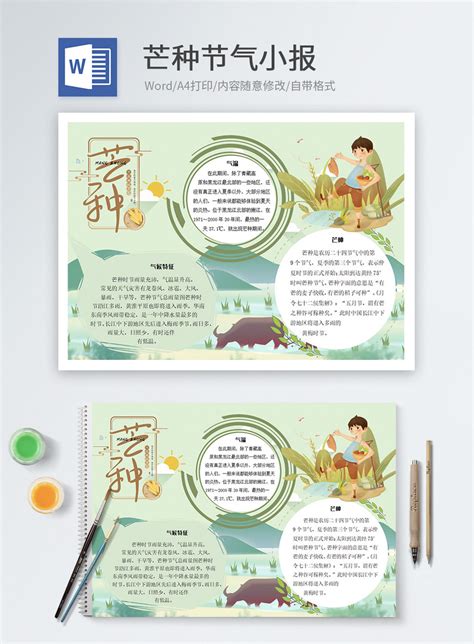 二十四节气芒种word小报图片 正版模板下载401258216 摄图网