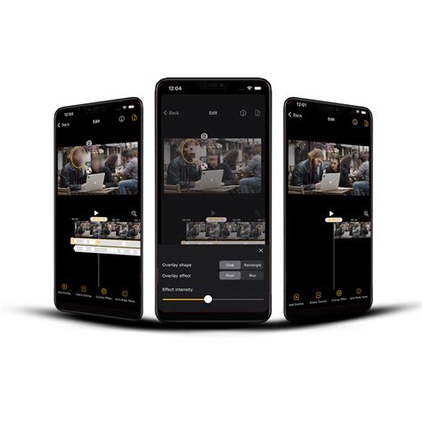 Homepage FaceBlur Video