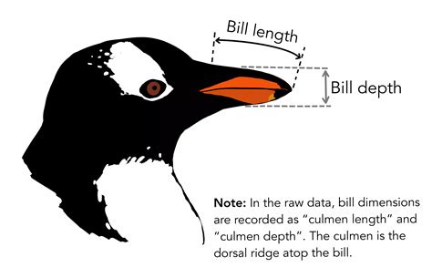 Classify Palmer Penguins Using Machine Learning