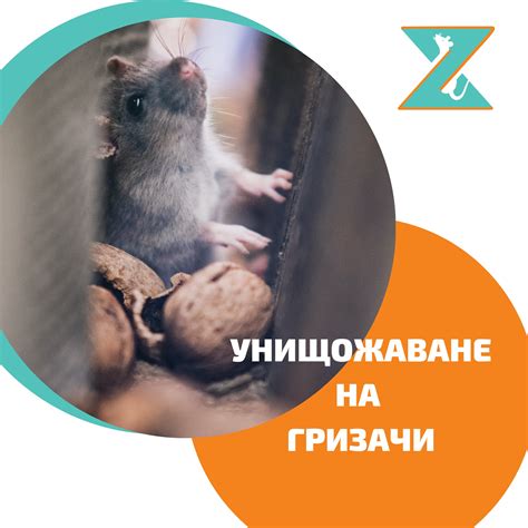 ПЕСТ КЕЪР ЕООД град София Унищожаване на хлебарки Фирма за борба с вредителите София ДДД