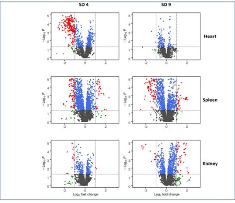 Volcano Plots Displaying Dysregulated Metabolites For Heart Spleen