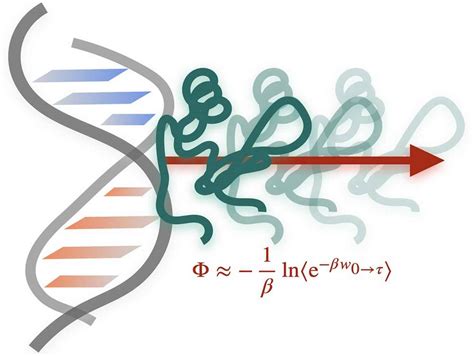 Decoding The Dissociation Of Sequence Specific Proteindna Complexes With Non Equilibrium