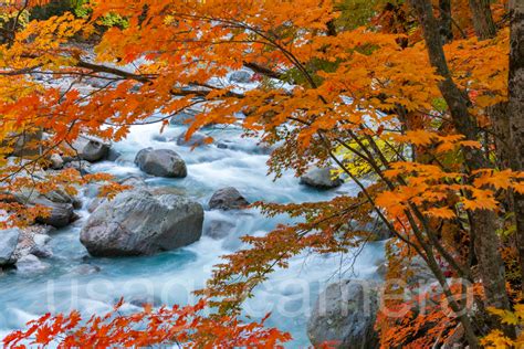 【紅葉】10月に撮りたい風景写真 うさぎとカメラ